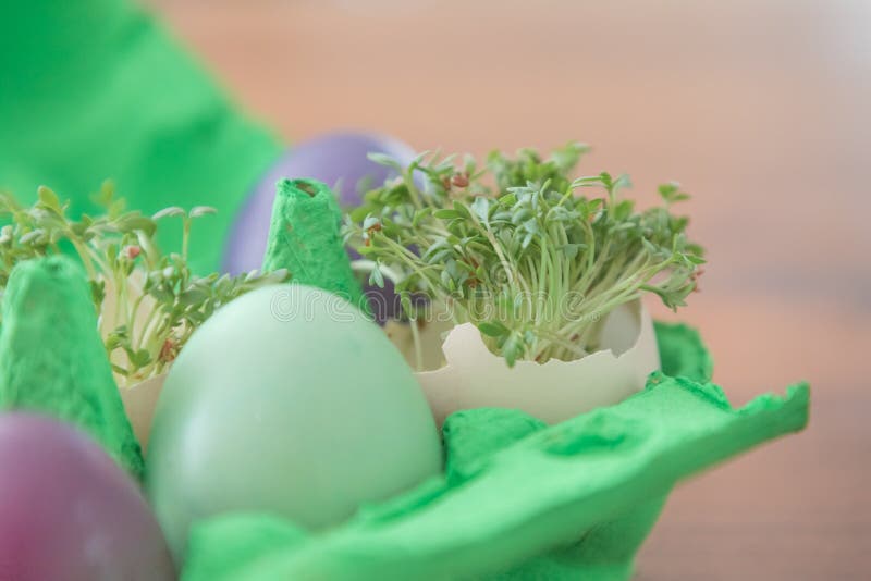 Decorative Handmade Easter Egg Present Box with Eggs and Cress Stock ...