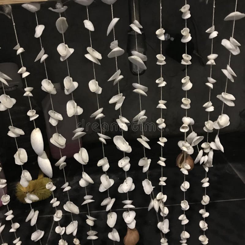 Decorative hanging shells stock image. Image of shells - 193538793