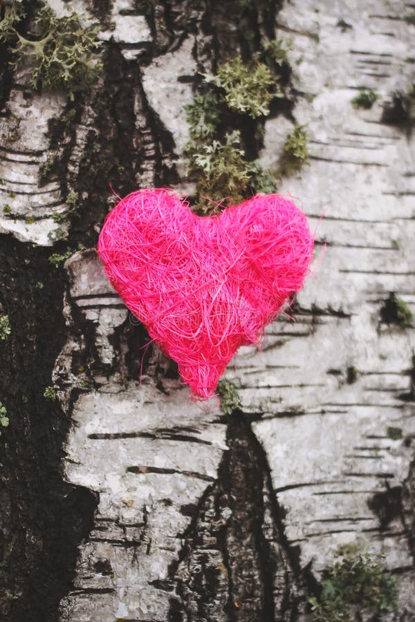 Decorative Heart on Tree Bark. Stock Photo - Image of heart, love ...