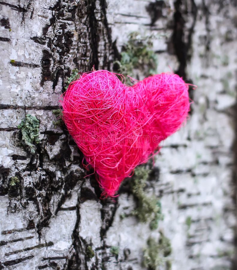 Decorative Heart on Birch Tree. Stock Image - Image of colorful ...
