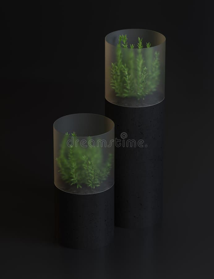 Decorative High-tech Plant Vase Stock Image - Image of light, leaf ...