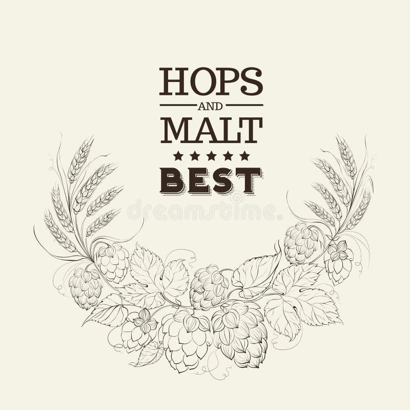 Decorative hops cover. stock vector. Illustration of agriculture - 34846747