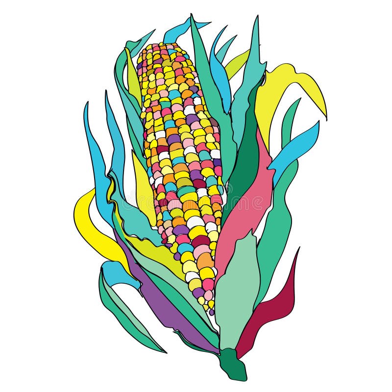 Decorative Illustration of Corn,vegetable,fields,colorful Grains Stock ...