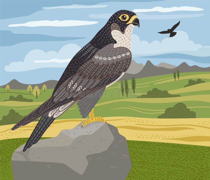Decorative Illustration of Falcon in Nature. Vector Design Element ...