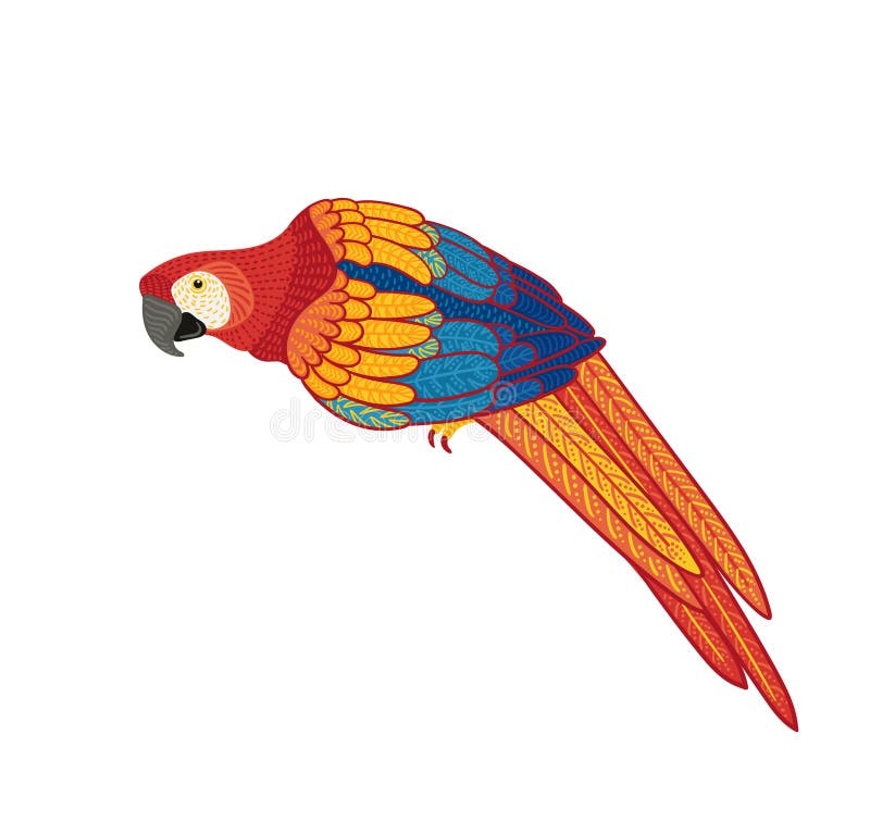 Decorative Illustration of Macaw Parrot. Vector Isolated Design Element ...