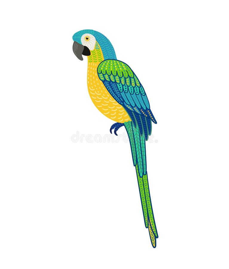 Decorative Illustration of Macaw Parrot. Vector Isolated Design Element ...