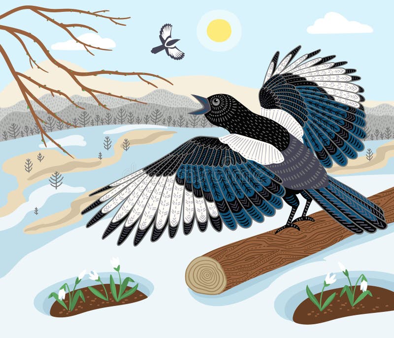 Decorative Illustration of Magpie in Nature. Vector Design Element ...