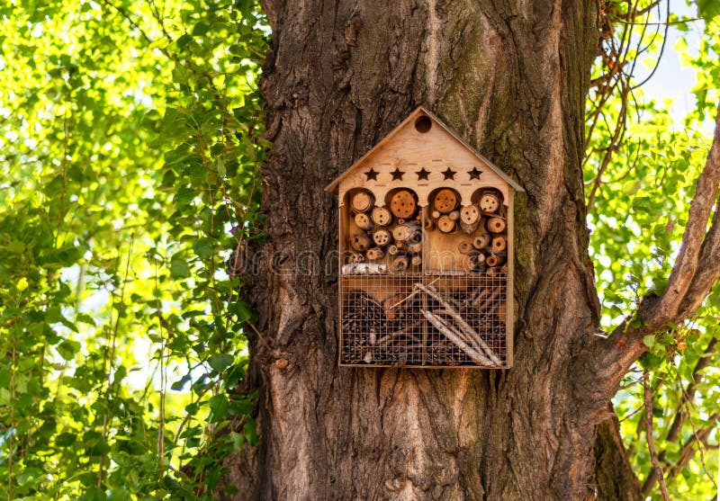 Decorative Insect House with Compartments and Natural Components in a ...