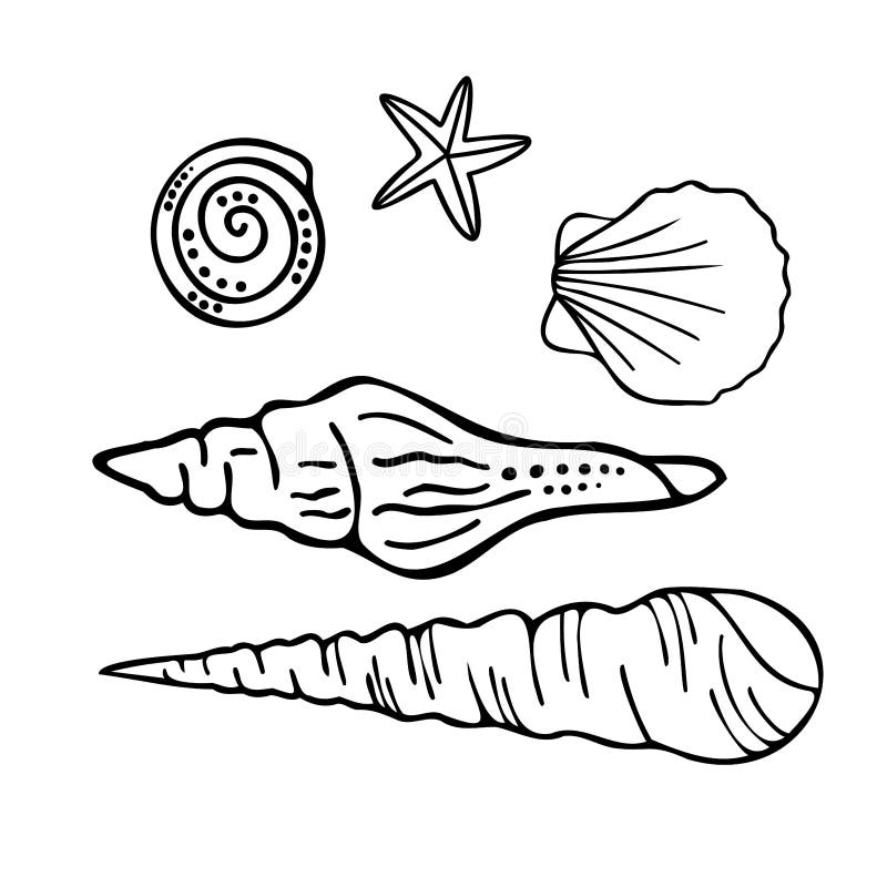 Decorative Isolated Black and White Vector Elegant Illustration Design ...