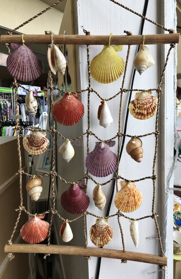 Decorative Item Made from Seashells. Stock Photo - Image of interesting ...