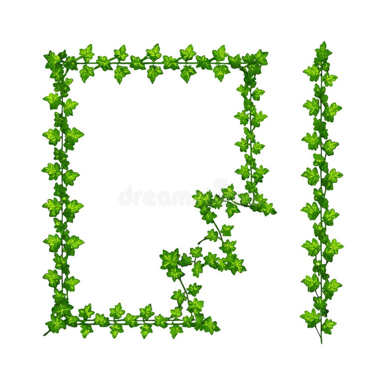 Decorative Ivy Vine Elements: Square Frame and Vertical Border on White ...