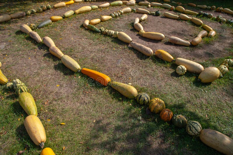 Decorative Labyrinth Maiden with Pumpkins, Gourds and Squashes of ...