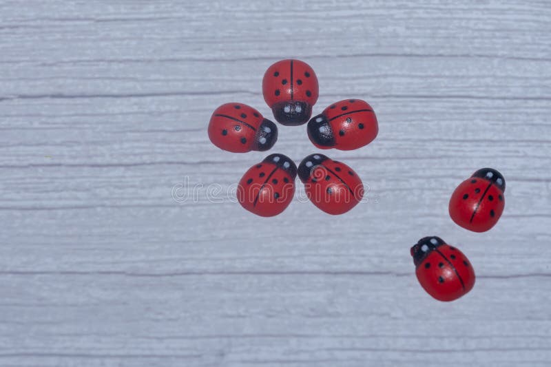 Decorative Ladybug for Creativity Made of Wood Stock Photo - Image of ...