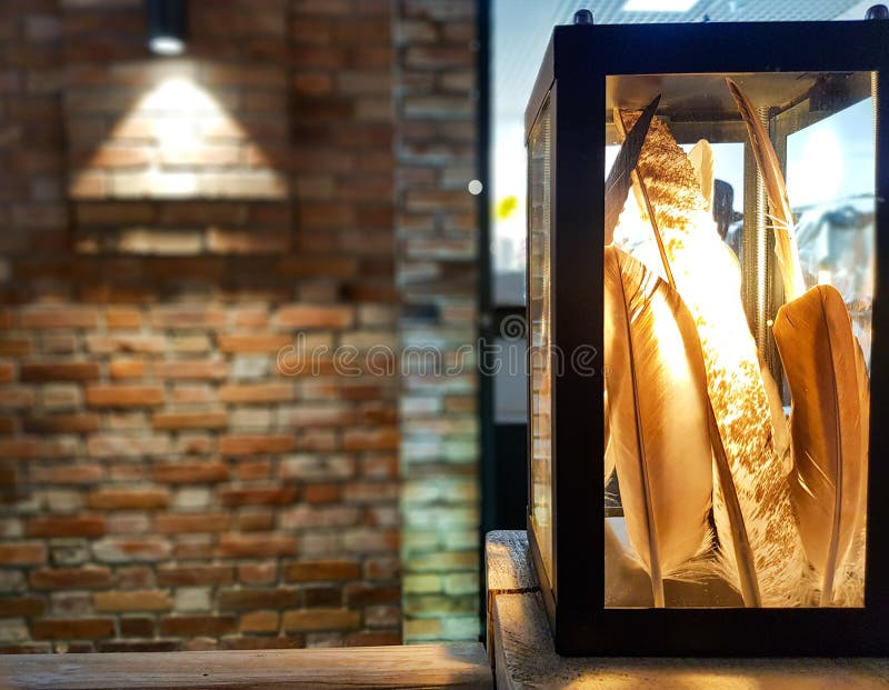 Decorative Lamp with Feathers in a Glass Box with Mock Up Stock Photo ...