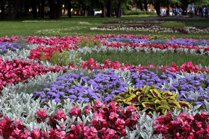 Decorative lawn stock photo. Image of zigzag, blue, maroon - 84246488