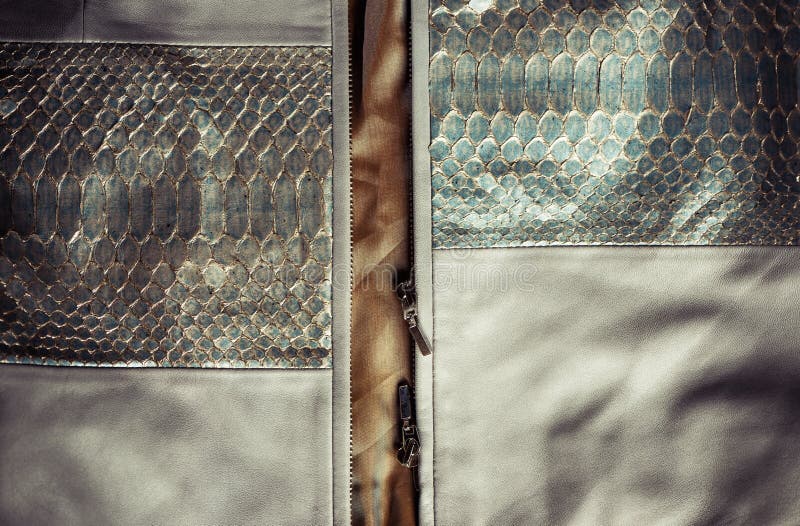 Decorative Leather Outfit Texture Stock Photo - Image of fashion ...