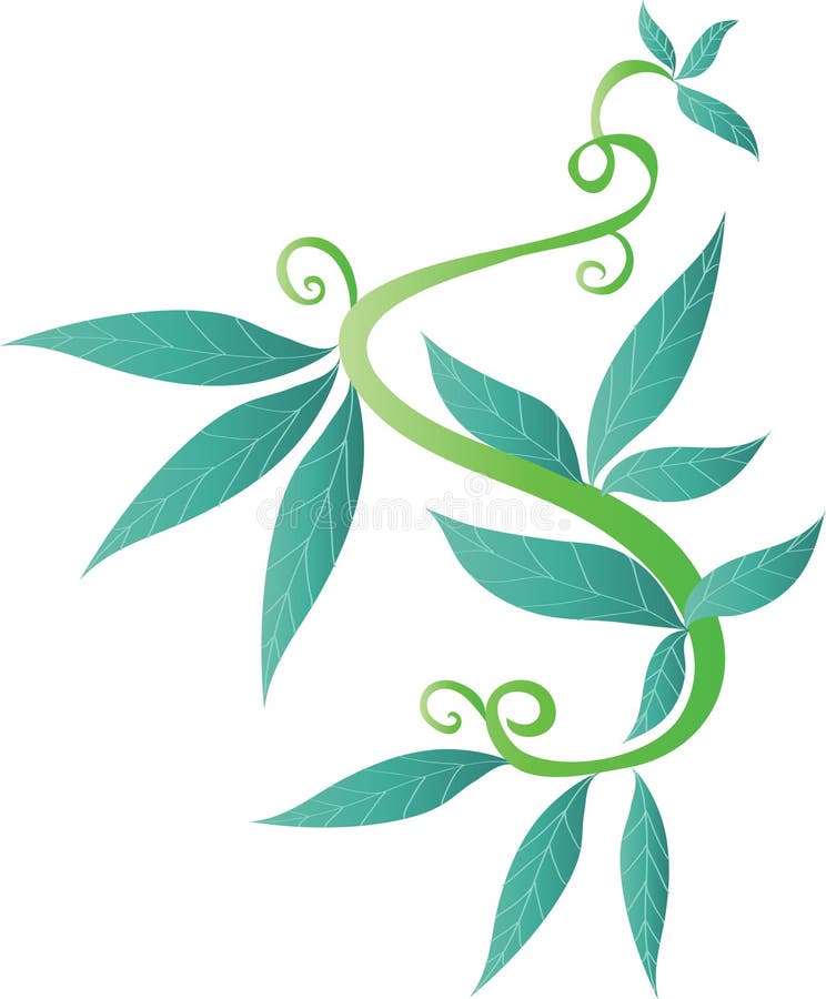 Decorative leaves stock vector. Illustration of tree - 81643993