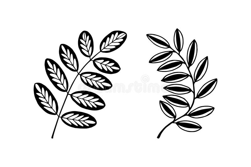 Decorative Leaves. Vector Stock Illustration Eps10. Stock Vector ...