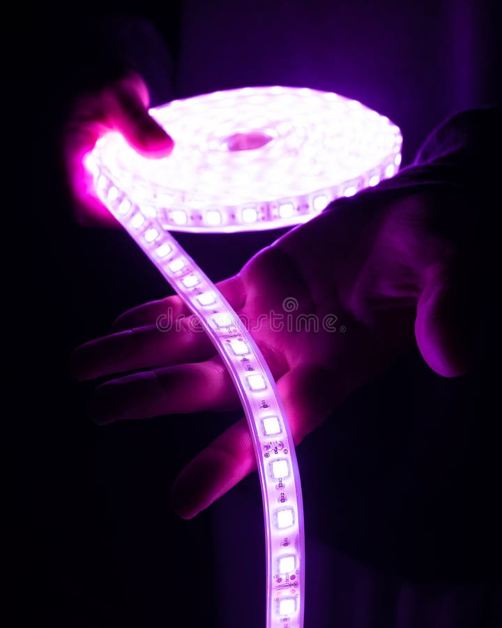 Decorative Led Diode Strip Magenta Color in Hand. Stock Image - Image ...