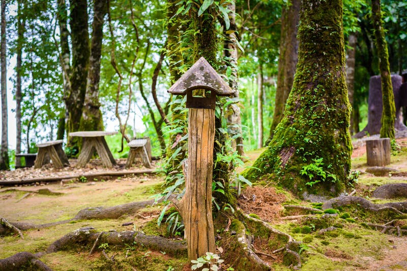 Decorative Light Pole Pathway Stock Photo - Image of wood, outdoor ...