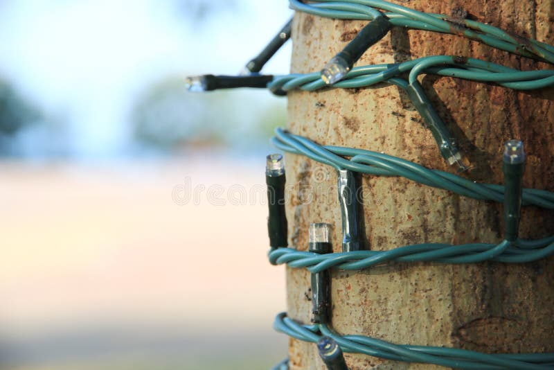 Decorative Lights for Small Decorations Around the Tree, Providing ...