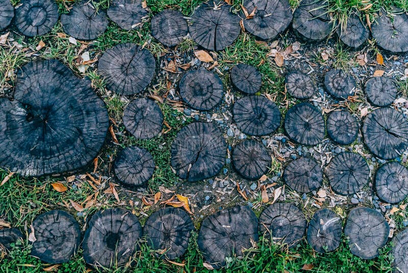 Decorative log path stock image. Image of background - 129205609