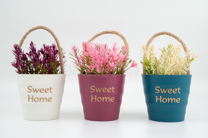 Decorative Miniature Artificial Flower Pots on White Background ...