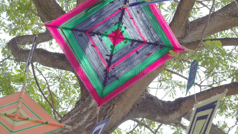 Decorative Mobile Spider Web Weaving Hanging on Tree Stock Footage ...