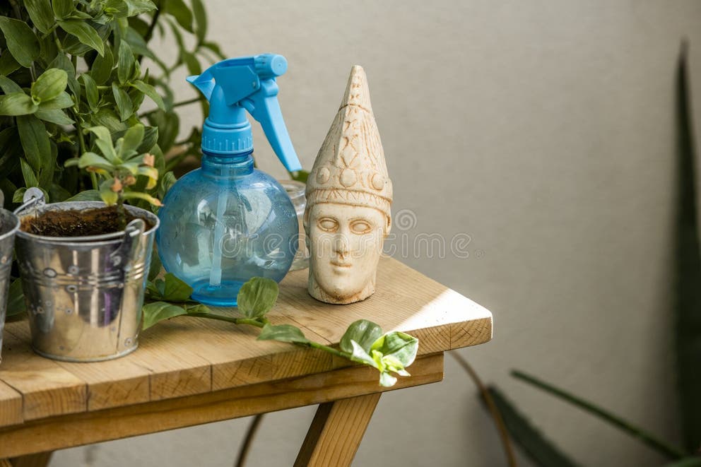 Decorative Objects, Plants and Pots on an Unvarnished Wooden Table ...