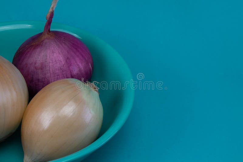 Decorative Onions in Bold Turquoise Stock Photo - Image of bold, plant ...
