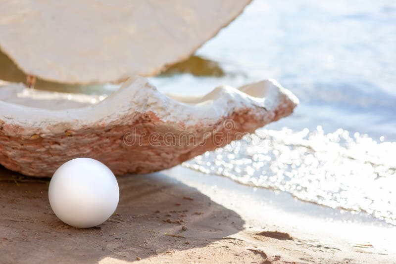 Decorative Open Large Seashell and a Large White Pearl, on the Beach on ...