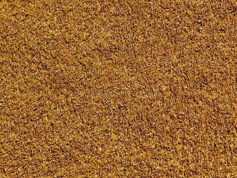 Decorative Red Grass Loan Texture. Sport and Leisure Stock Photo - Image of ball, outdoor: 78097282