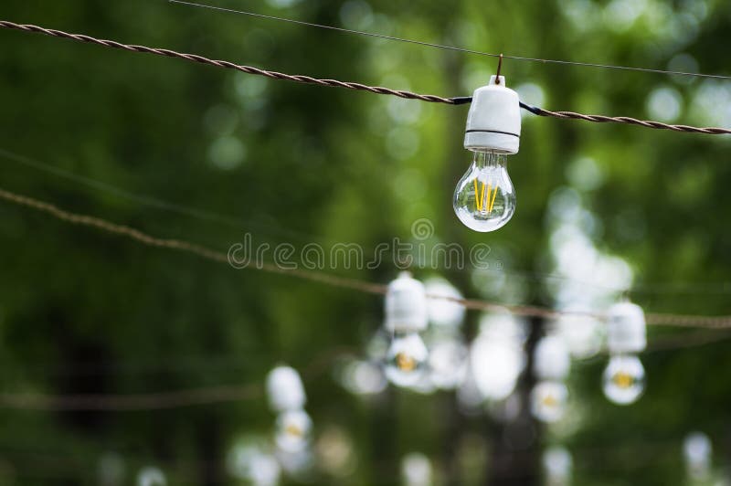 Decorative Outdoor String Lights Hanging on Tree in the Garden at Night ...