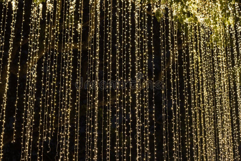 Decorative Outdoor String Lights Hanging on Tree in the Garden at Night ...