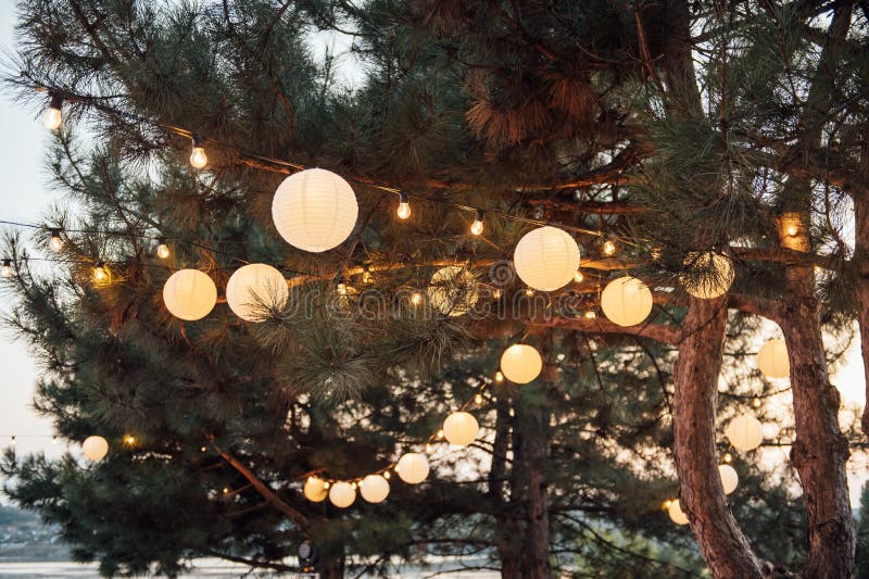 Decorative Outdoor String Lights Hanging on Tree in the Garden at Night ...
