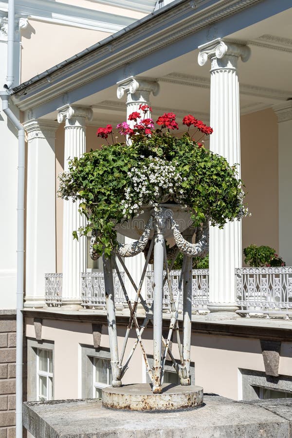 Decorative Outdoor Vase with Red Geranium Stock Image - Image of white ...