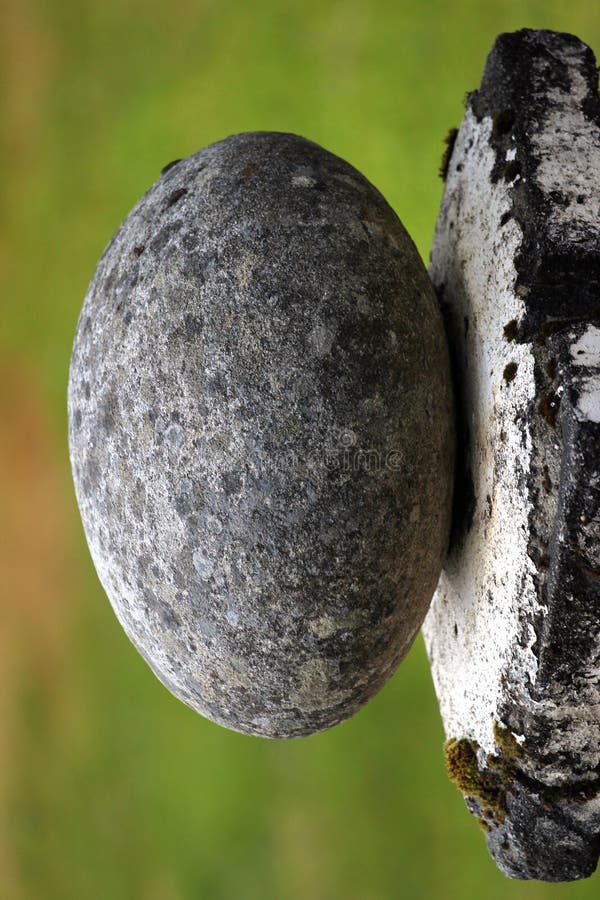 Decorative Oval Boulder in a Park Stock Photo - Image of round, mineral ...