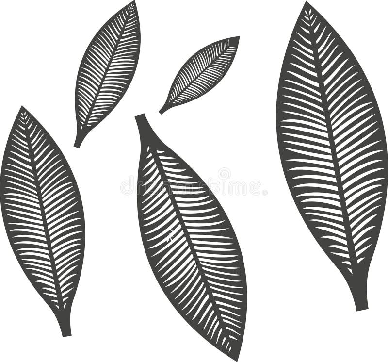 Crafted Panel Composition Stock Illustrations – 273 Crafted Panel ...