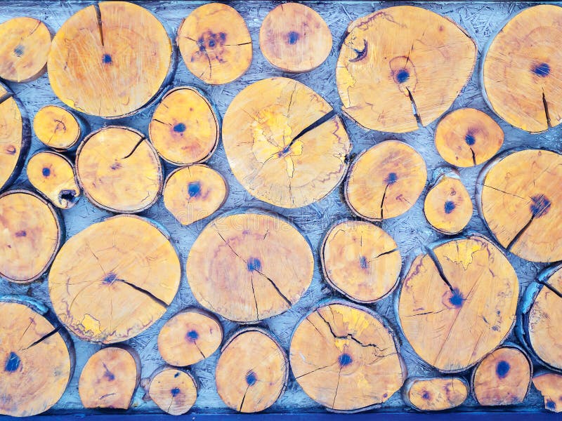 Decorative Panel with Pattern of Round Log Slices of Different Sizes ...