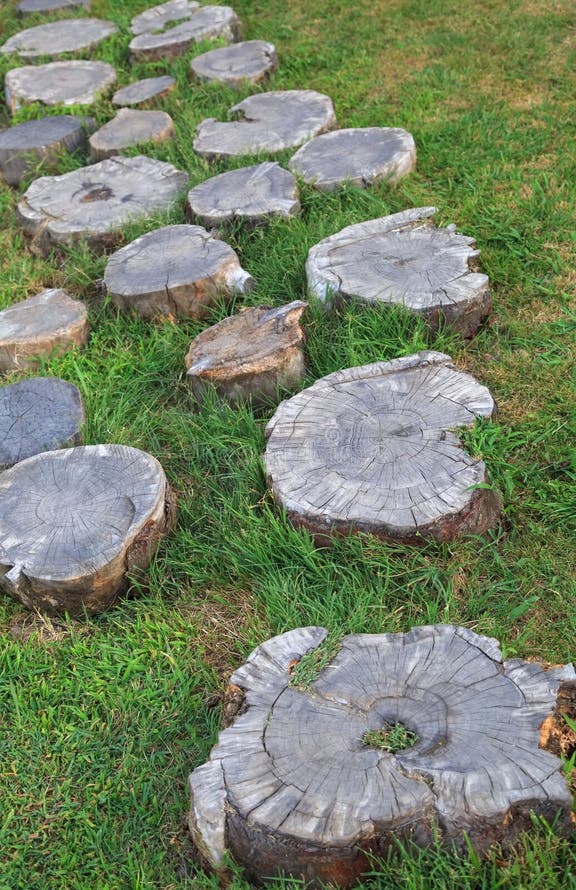 Decorative Path Across the Lawn Composed of Stumps Stock Photo - Image ...