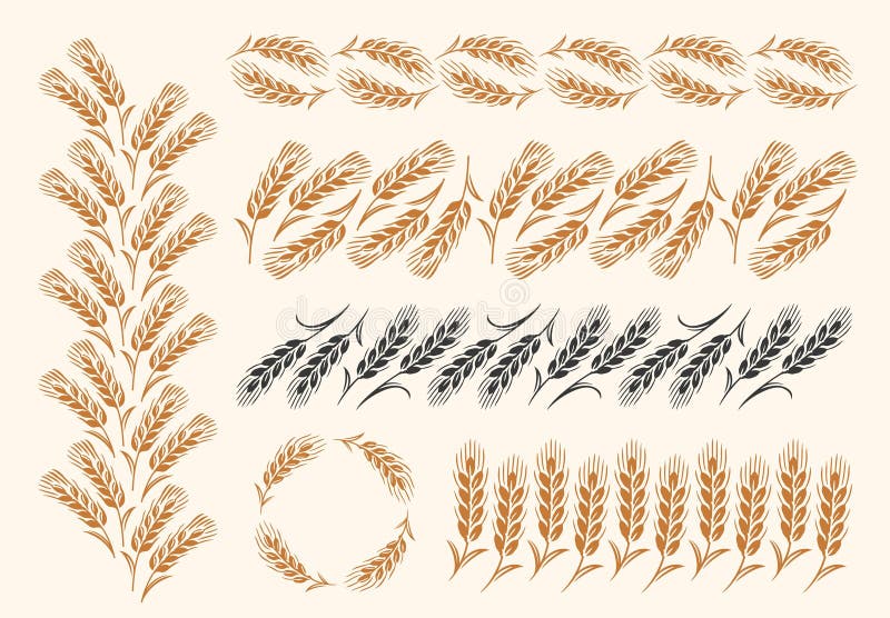 Wheat Concept. Decorative Patterns, Ornaments and Elements for ...