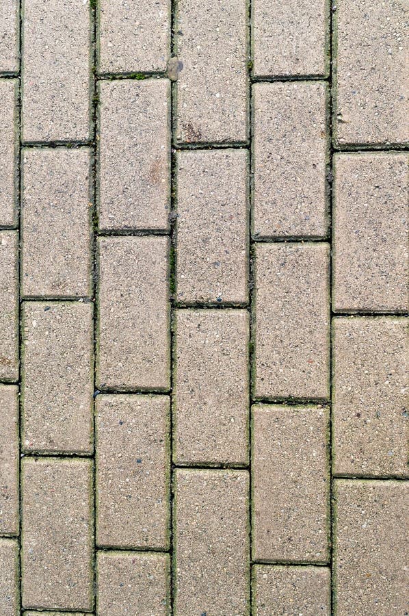 Decorative Paving Tile. Background, Texture, Pattern. Stock Image ...