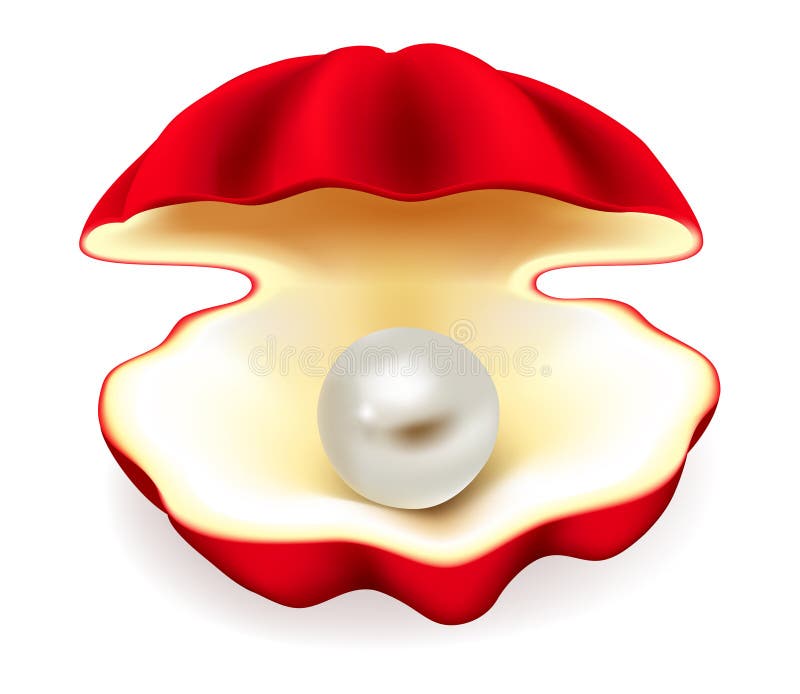 Cartoon Shell pearl stock vector. Illustration of cockleshell - 75316453