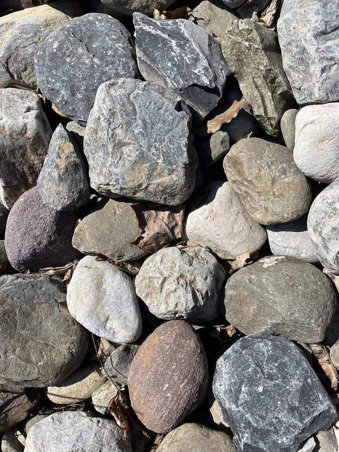 Decorative pebbles stock image. Image of material, home - 244575043