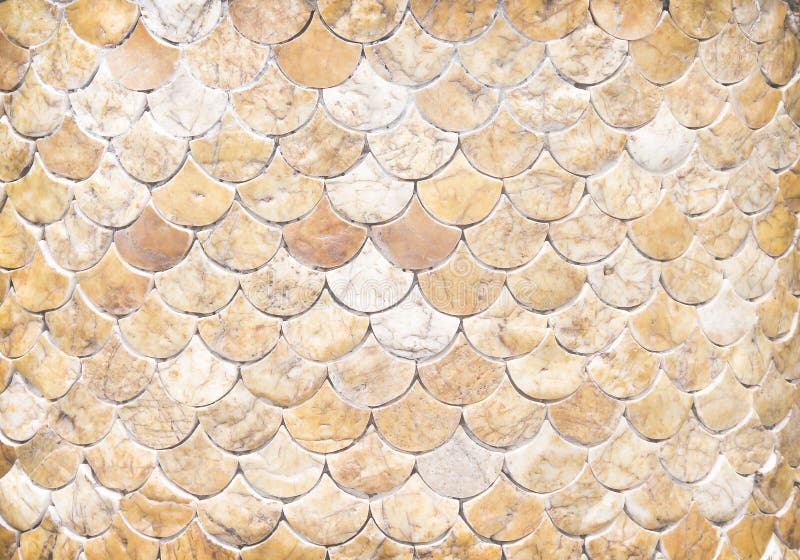 Decorative Pieces of Marble Texture on Concrete Wall in Many Layer Fish ...