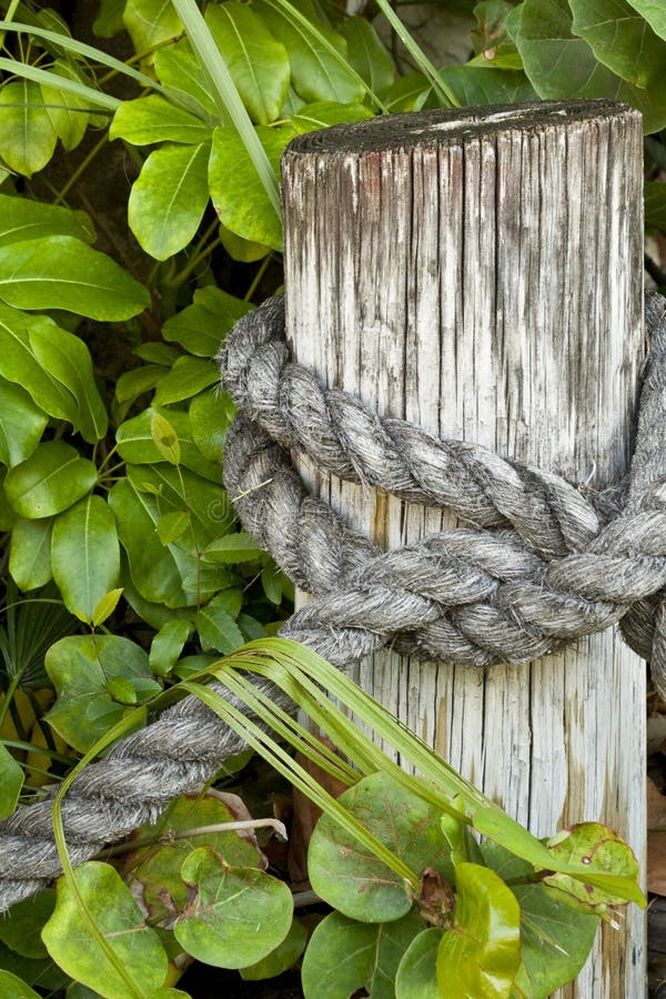 Decorative Piling stock image. Image of rope, green, bound - 31376593