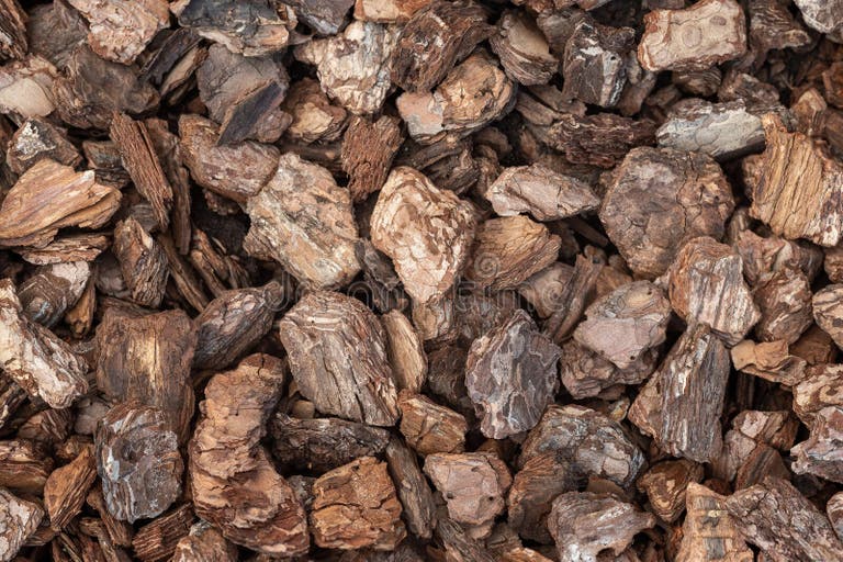 Decorative Pine Bark Mulch, Background. Stock Image - Image of mosaic ...