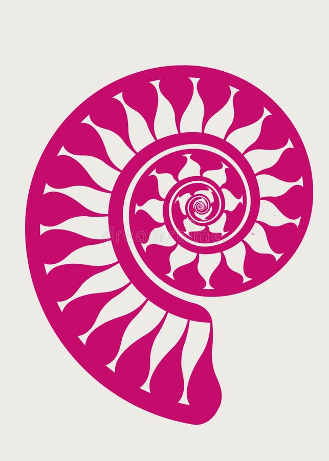 Decorative Pink Shell with Patterns for Your Designs and Ideas Stock ...