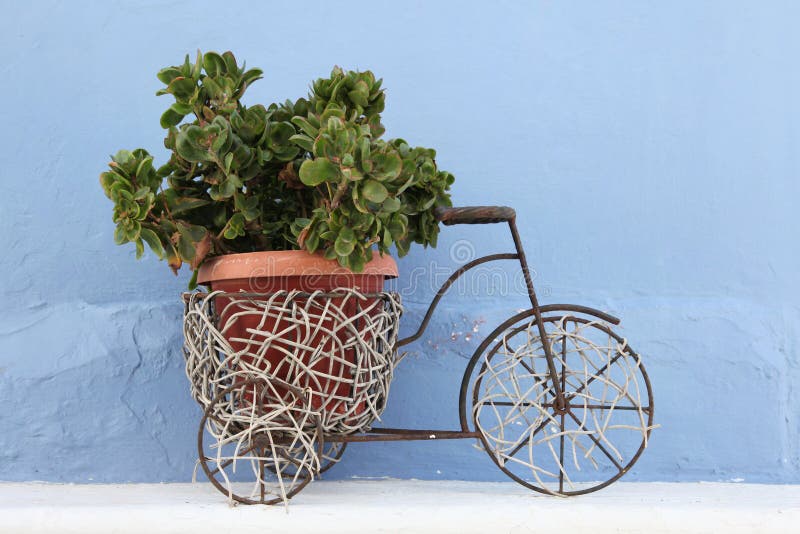 Decorative plant pot stock photo. Image of decorative - 35470636