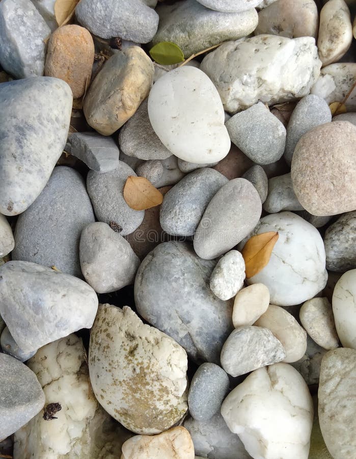 Decorative Plant Rock Background Image Stock Photo - Image of ...